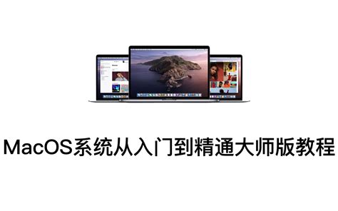 苹果mac电脑macos系统新手从入门到精通大师版教程 哔哩哔哩 Bilibili