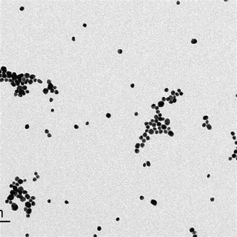 Tem Measurements Of Silver Nanoparticles With A Mean Diameter Of