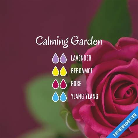 Calming Garden