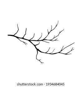 Branch Tree Vector Illustration Summer Clipart Stock Vector Royalty Free Shutterstock