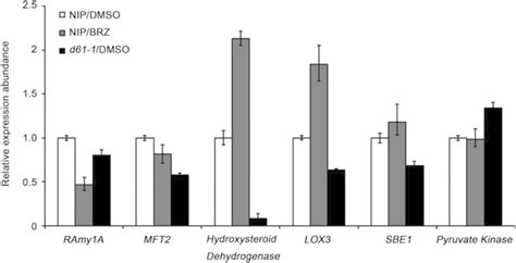 Validation Of The Proteomic Data By Analyzing The Transcription Changes Download Scientific