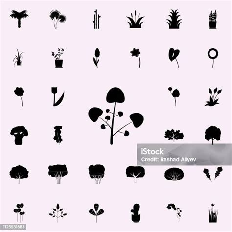 물냉이 아이콘 웹 및 모바일에 대 한 아이콘을 유니버설 설정 식물 샐러드 냉이에 대한 스톡 벡터 아트 및 기타 이미지 샐러드 냉이 0명 근대 비트 Istock