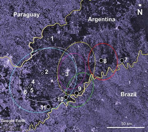 Cluster Analysis Map Built By Bpec Software Using The Coii Gene Region
