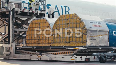 Air Cargo Pallet