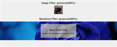 Background Blur In Css Tpoint Tech