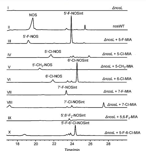 Figure 2 From Insights Into The Substrate Tolerance Of Enzymes Involved