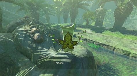 Korok Seeds Dracozu Lake Lake Tower 65 Zelda Botw Youtube