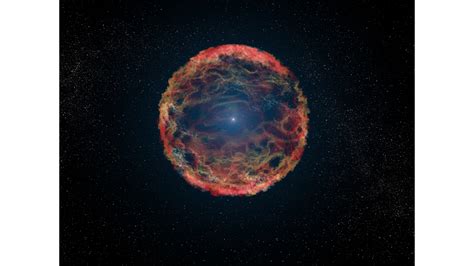 Supernova Galaxy M 81
