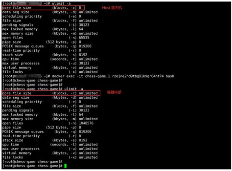 linux 系统为何产生大量的 core 文件？ core文件 csdn博客