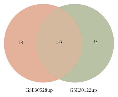 External Dataset Cross Validation Venn Diagram Download Scientific Diagram