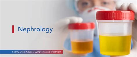 Foamy Urine Causes Symptoms And Treatment Sparsh Hospital