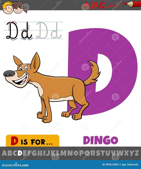 Letter D From Alphabet With Cartoon Dingo Animal Character