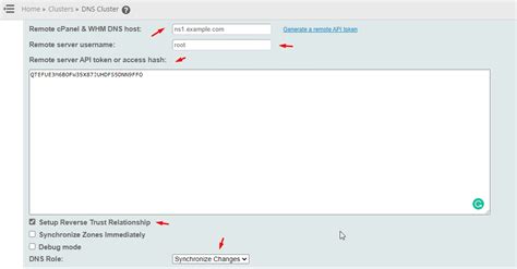 Setting Up A Dns Cluster With Cpanel And Dnsonly Knowledgebase Cpanelcentral
