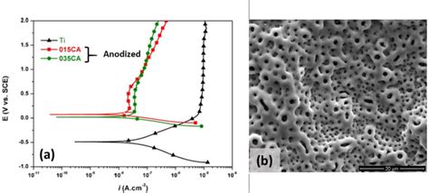 12 A Potentiodynamic Polarization Curves Of The Untreated And