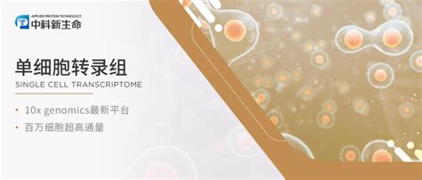 10×单细胞转录组常见qanda（三）｜数据质控专题 知乎