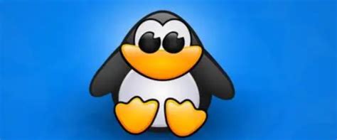 如何修改linux用户的属组 linux用户所属组修改命令教程 不念博客