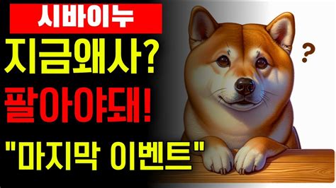 시바이누 Shib 지금 담으면 큰일납니다 위험신호 마지막 이벤트를 노려라 시바이누 시바이누코인 시바이누전망 시바이누분석 코인 알트코인추천 코인추천