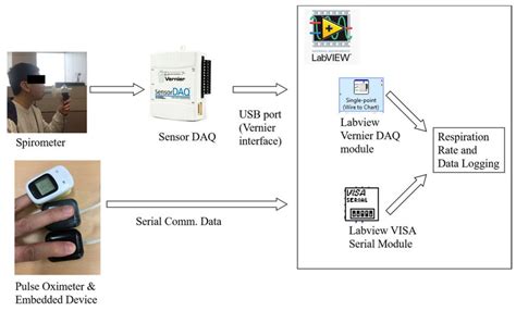 Heartbeat And Respiration Rate Measurement Setup Download Scientific Diagram
