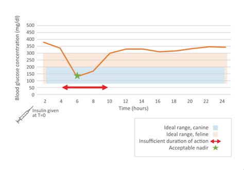 Interpreting Glucose Curves