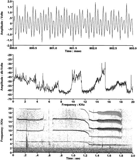 Spectrogram Below Powerspectrum Mid And Sections 3 Ms Above Of The