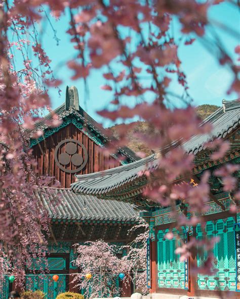 Gakwonsa Temple In Cheonan A Spring Fairytale Location