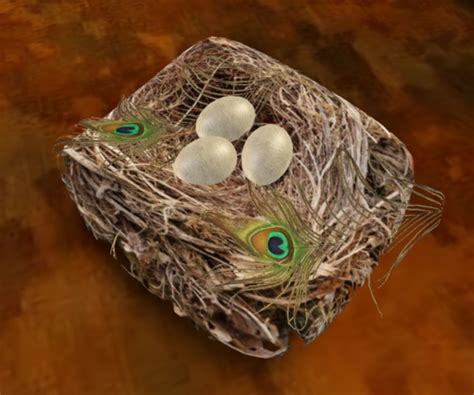 Second Life Marketplace Peacock Nest