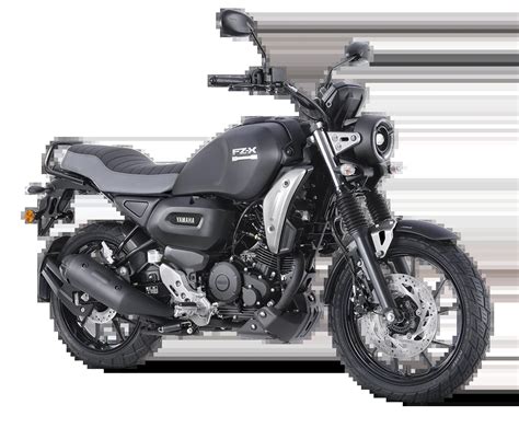 Bike Review