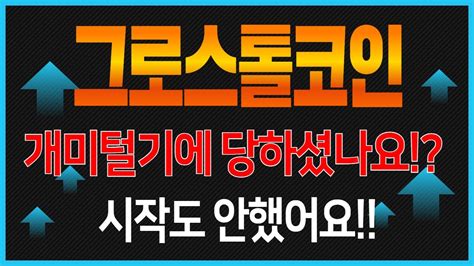 그로스톨코인 개미털기에 당하셨나요 시작도 안했어요 Youtube