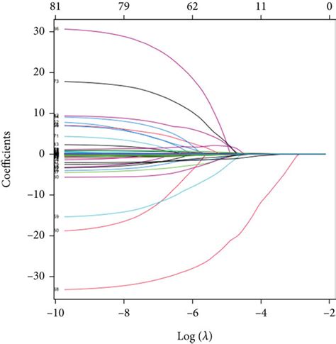 a lasso coefficient profiles of the 82 features b tuning parameter