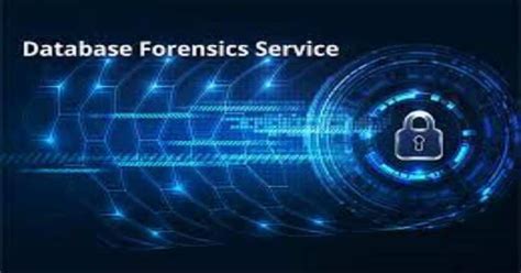 Common Challenges And Tips For Database Forensics In 2024 Moviesming
