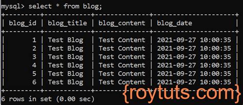 How To Prevent SQL Injections In CodeIgniter 4 Roy Tutorials