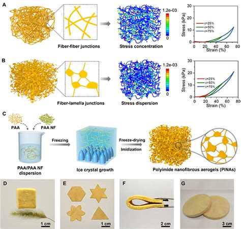 Advanced Polyimide Nanofibrous Aerogels Redefining Flexibility Insulation And Durability For