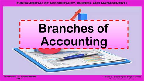 2 Branches Of Accounting Pdf