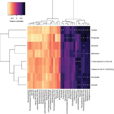 Pearson Correlation Of Faecal Microbiomic And Proteomic Hippocampus Download Scientific