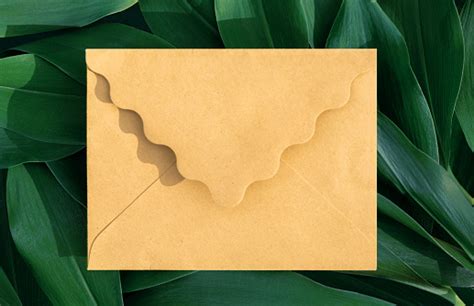 자연 땅에 노란색 꽃과 녹색 잎으로 봉투 모형을 공예합니다 플랫 레이 잎의 상단 보기 자연 개념 웨딩 초대 서식 파일 봄 자연 벽지 봉투에 대한 스톡 사진 및 기타 이미지