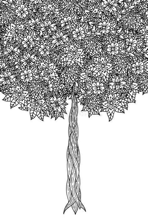 Tree With Leaves Stock Vector Illustration Of Flora