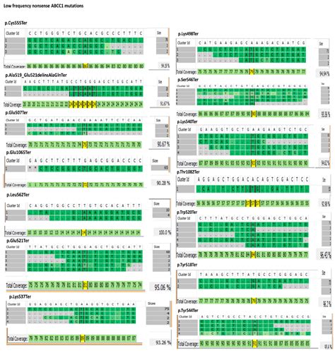Identification Of Novel Rare Abcc1 Transporter Mutations In Tumor Biopsies Of Cancer Patients