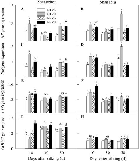 Effects Of Nitrogen N Fertilizer And Arbuscular Mycorrhizal Fungal Download Scientific