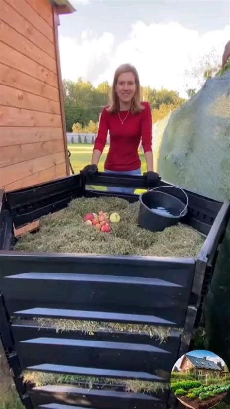 Компост — это ценное органическое удобрение, которое можно получить из ...