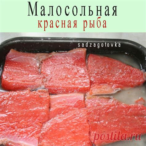 Малосольная красная рыба — Сад Заготовки НА ЛЮБОЙ ВКУС Постила