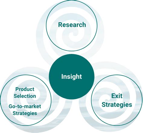 Deep Analysis Process Management Information Services