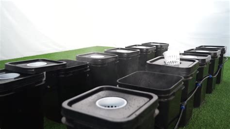 Dwc Hydroponic Clone Aeroponics Bucket Grow Dutch Bucket Rdwc System
