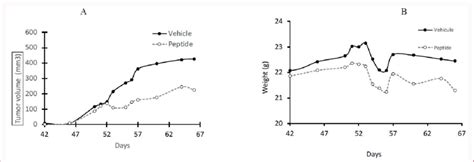 The Irgd Ip Peptide Has Antitumoral Activity In The Xenograft Mouse