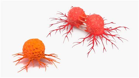 3d Model Abnormal Cells Collection Turbosquid 2298927