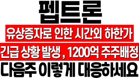 펩트론 주가 전망 1200억 주주 배정 유상증자 공시 분석 시간외 하한가 이렇게 대응하세요 펩트론 세력 분석 펩트론