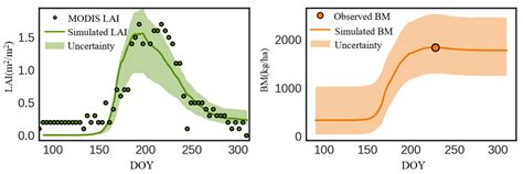 Grassland Aboveground Biomass Estimation Through Assimilating Remote Sensing Data Into A Grass