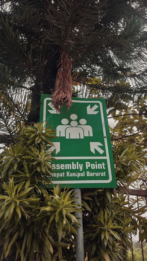 Assembly Point Signage Design