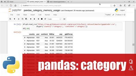 สอน Python สำหรับ Data Science ตัวแปรแบบ Category เบื้องต้น Youtube