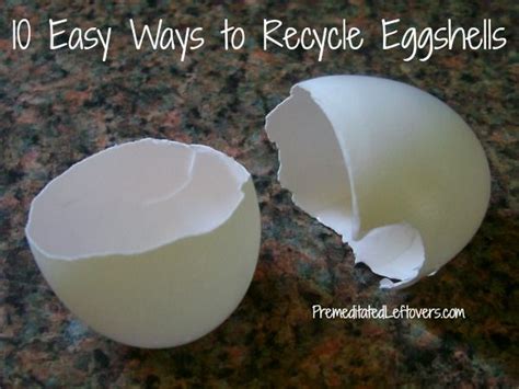 10 Easy Ways To Recycle Eggshells Egg Shells Ways To Recycle