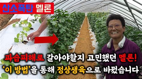 과습 침수 염류장해 이것으로 해결할 수 있습니다 Youtube